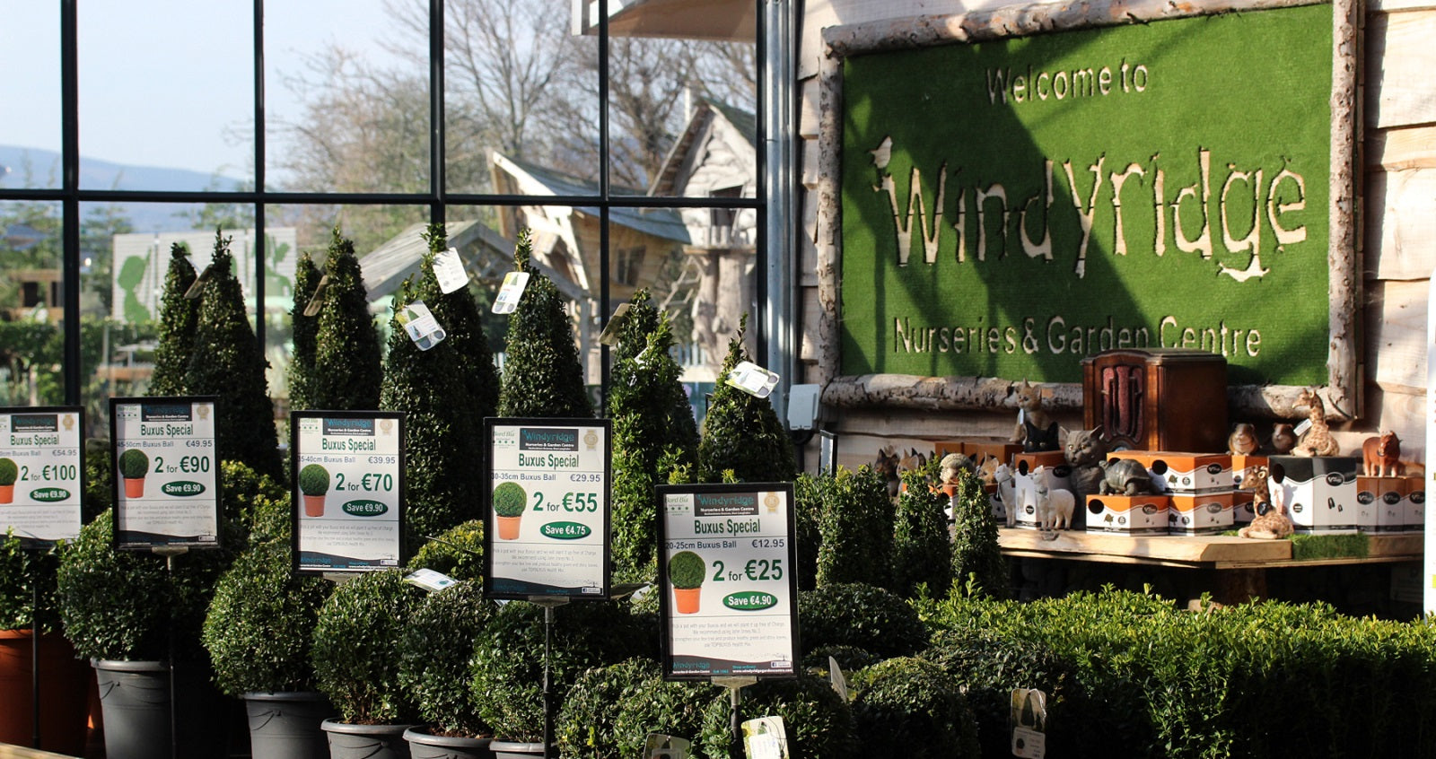 Topiary: The Best Varieties – Windyridge Garden Centre