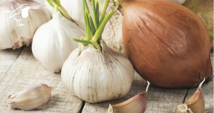 Potatoes & Veg Spring – Windyridge Garden Centre