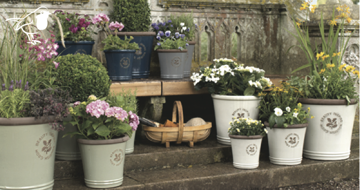 National Trust – Windyridge Garden Centre