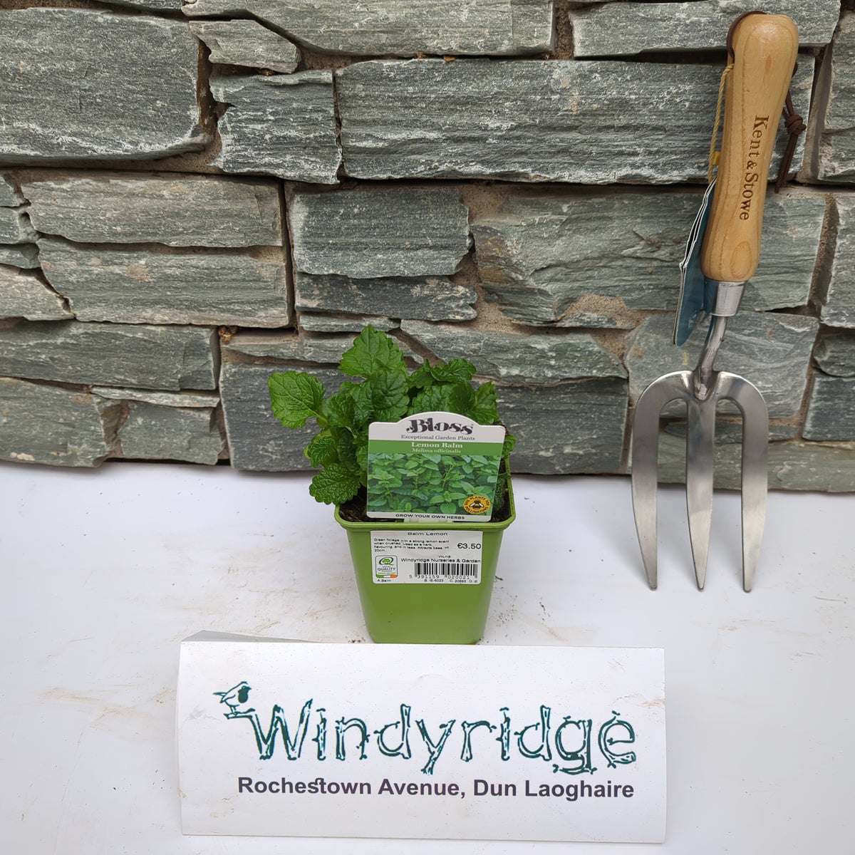 Windyridge Garden Centre – Windyridge Garden Centre
