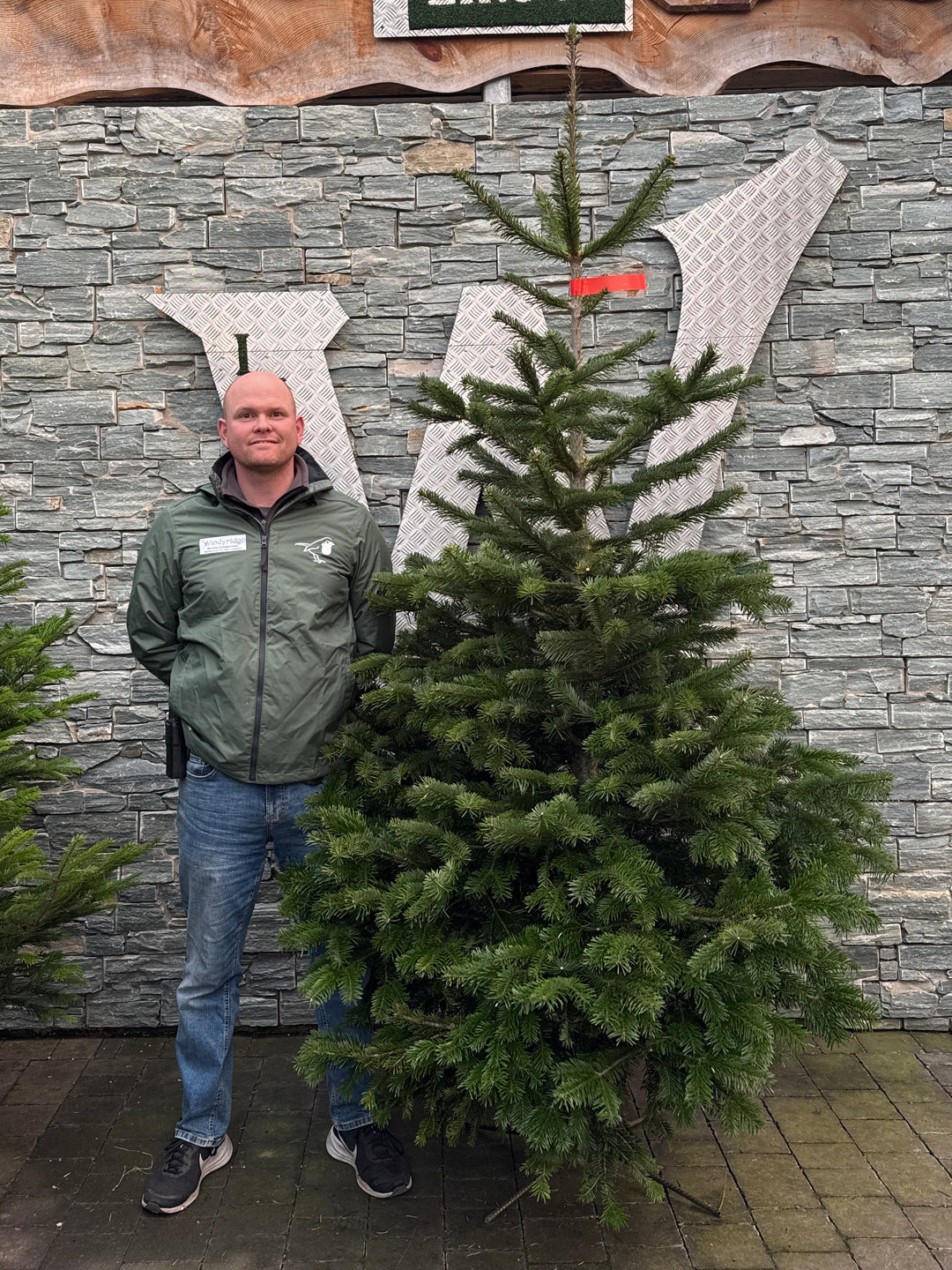 Real Christmas Tree Premium Nordman Fir Red Tag 6.7ft-7.5ft (200-225cm ...