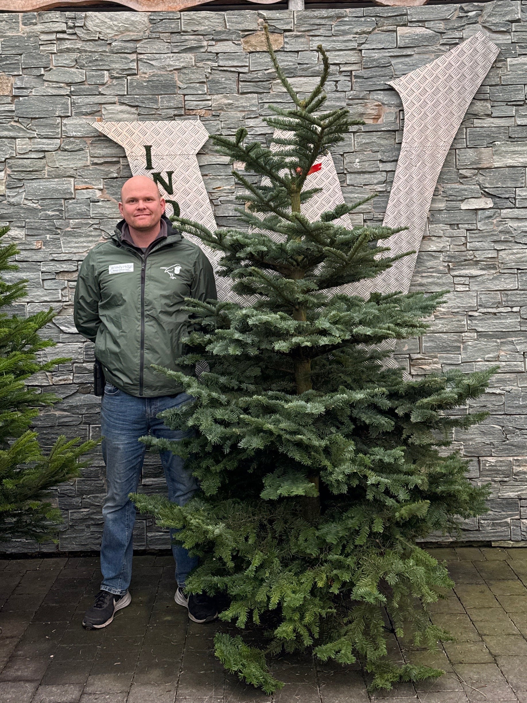 Real Christmas Tree Noblis Fir Red Red Tag 6.7ft-8.3ft (200-250cm ...
