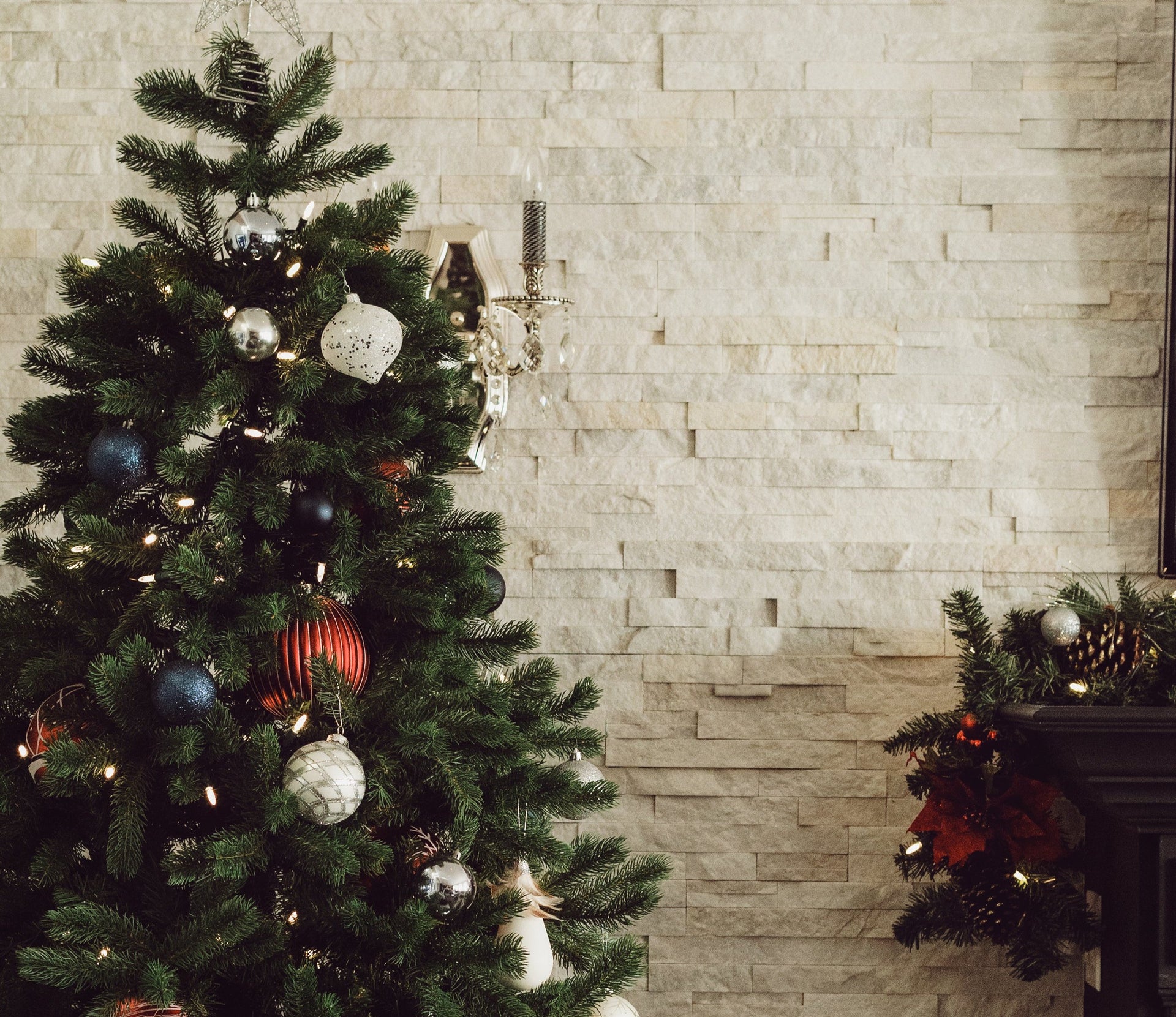 Windyridge Garden Centre – Windyridge Garden Centre