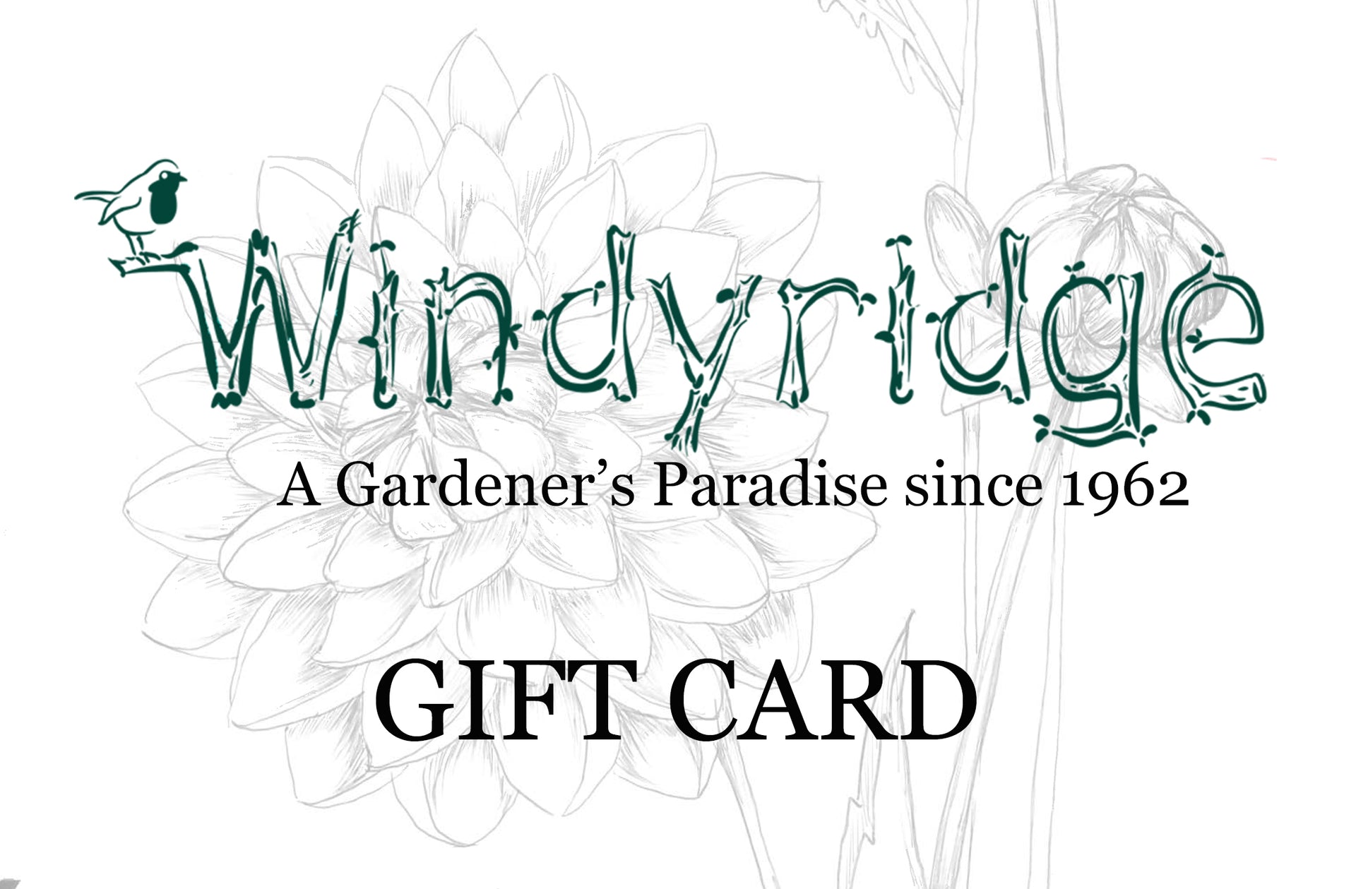 Weber Gas BBQ – Windyridge Garden Centre