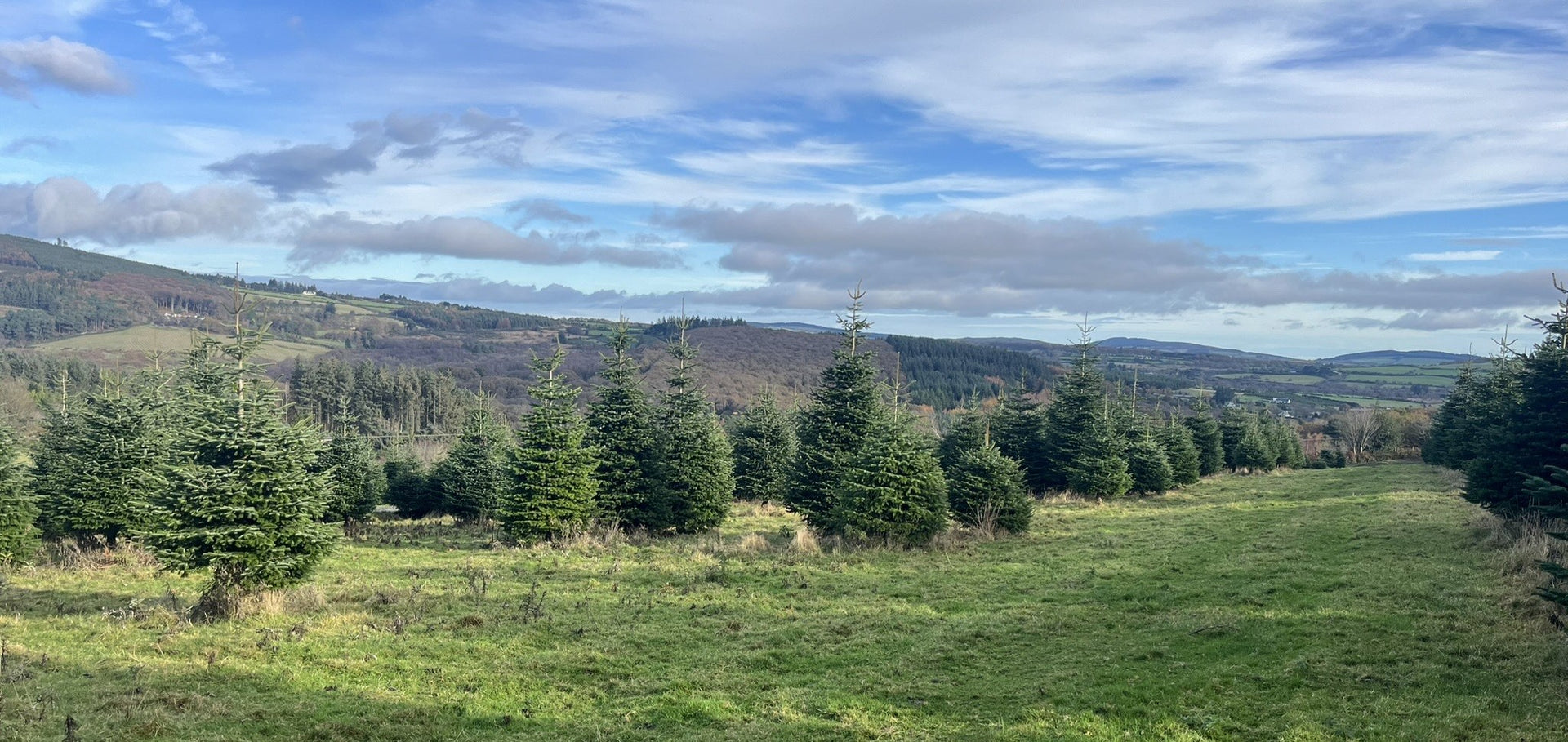 Windyridge Garden Centre – Windyridge Garden Centre