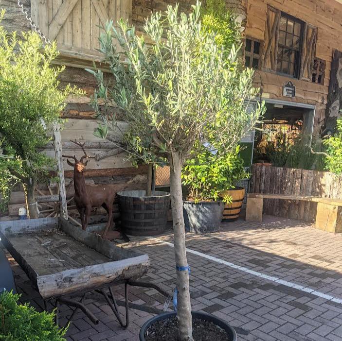 Windyridge Garden Centre – Windyridge Garden Centre