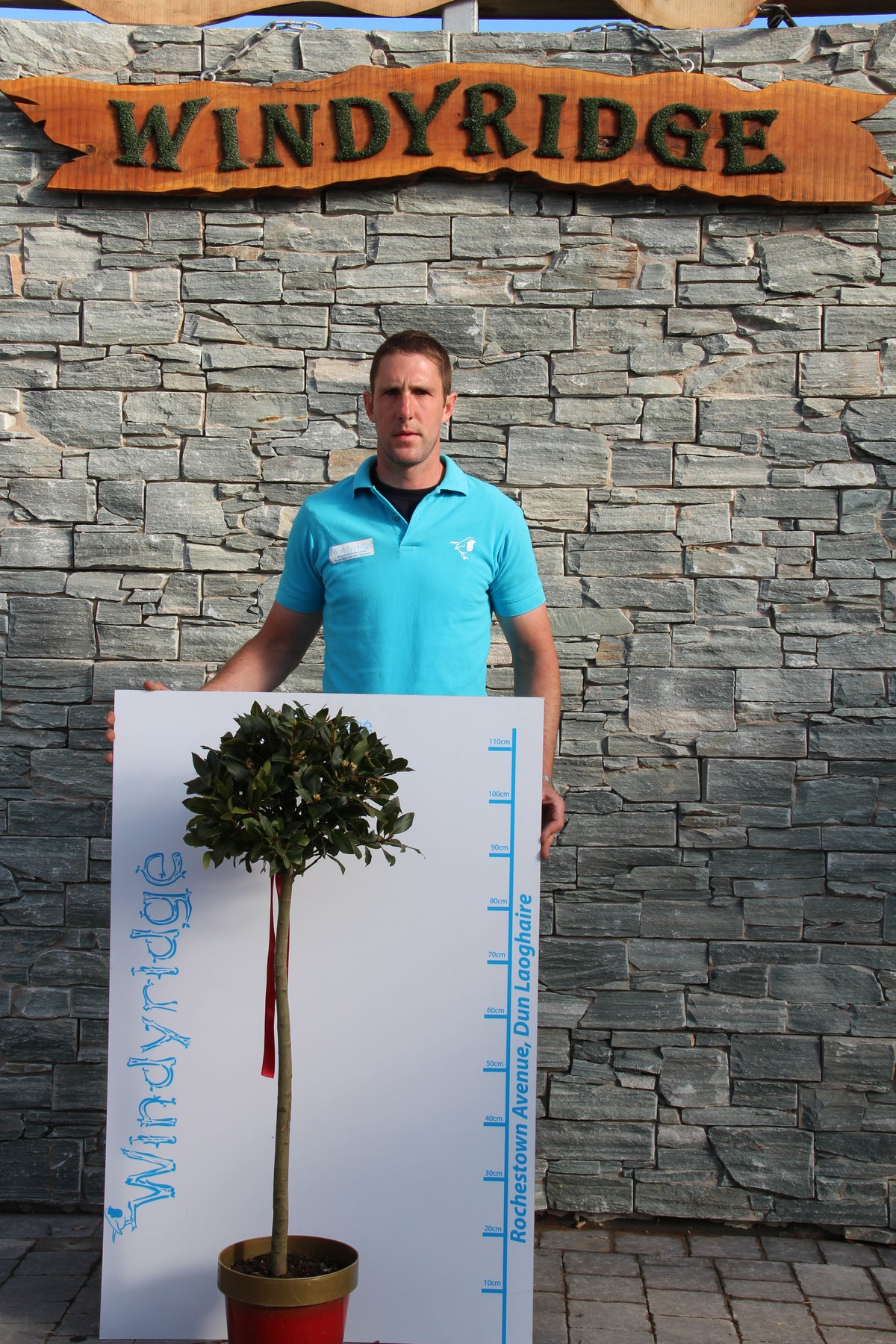 Windyridge Garden Centre – Windyridge Garden Centre