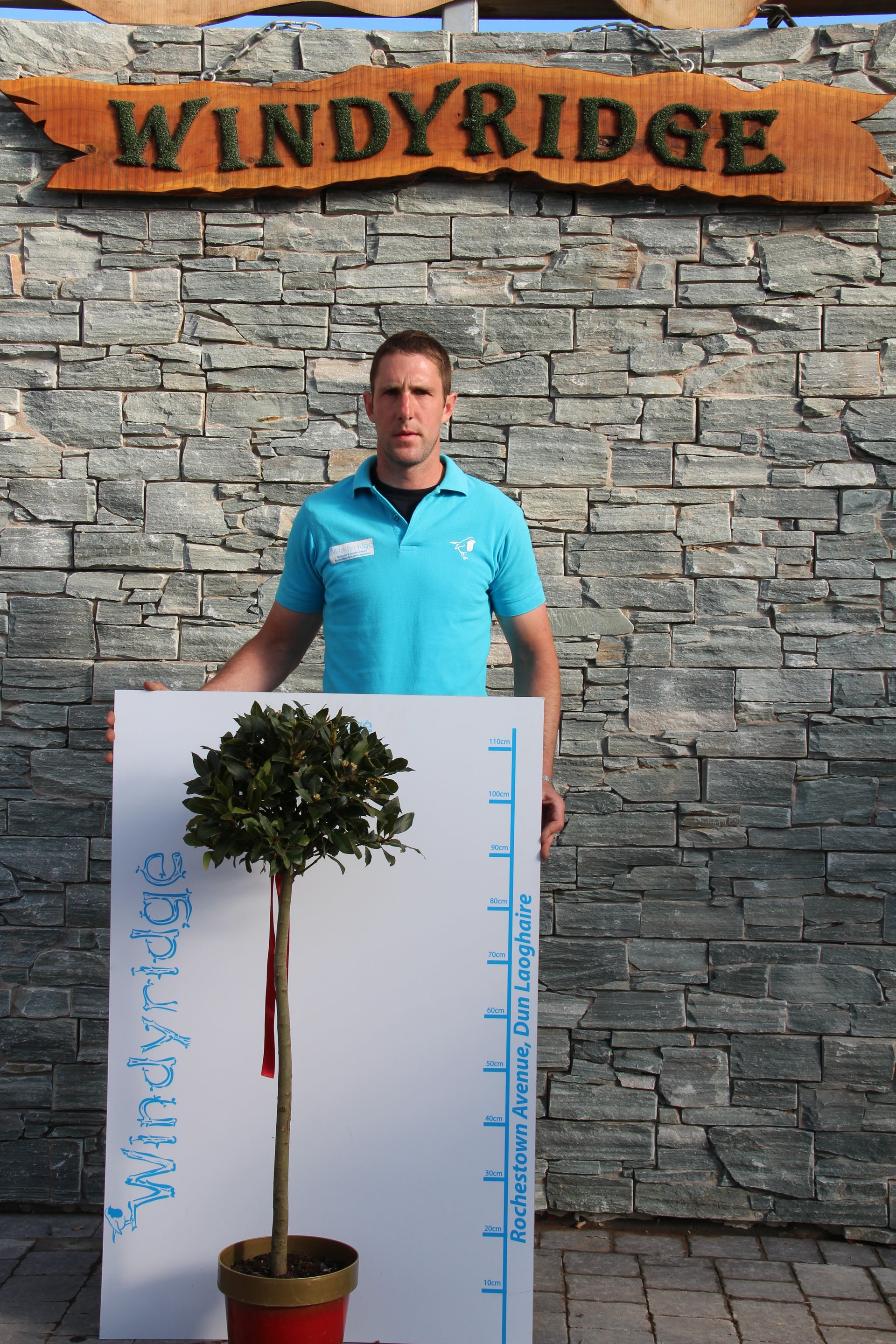 Windyridge Garden Centre