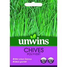 Herb Chives Polyvert – Windyridge Garden Centre