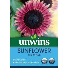 Sunflower Ms Mars – Windyridge Garden Centre